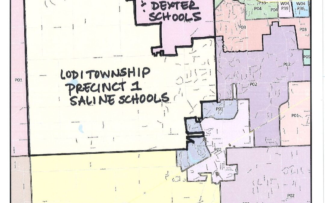 precicnt map | Lodi Township